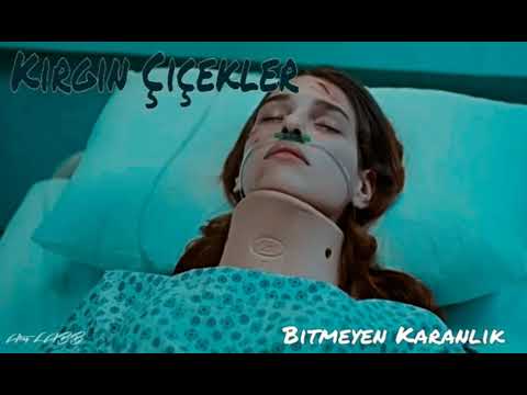 Kırgın Çiçekler - Bitmeyen Karanlık