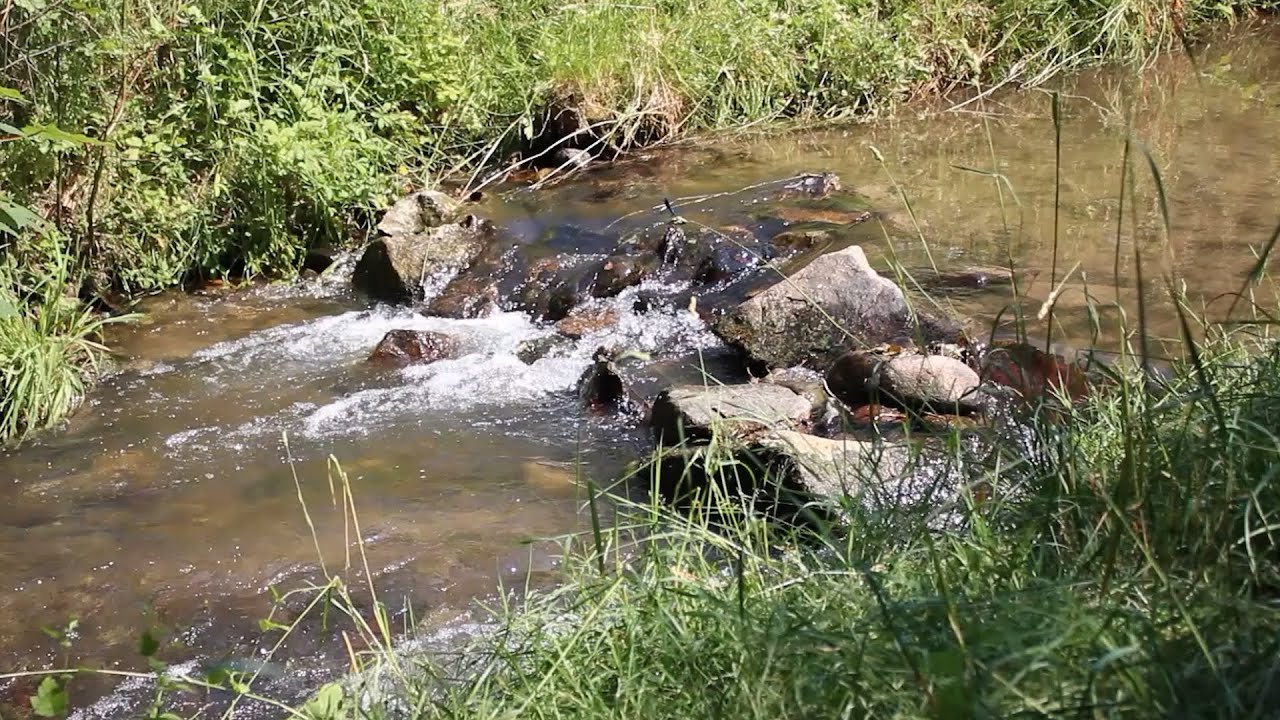 Water Sounds for Sleeping | 20 Minutes of Relaxing Pond Sounds - YouTube
