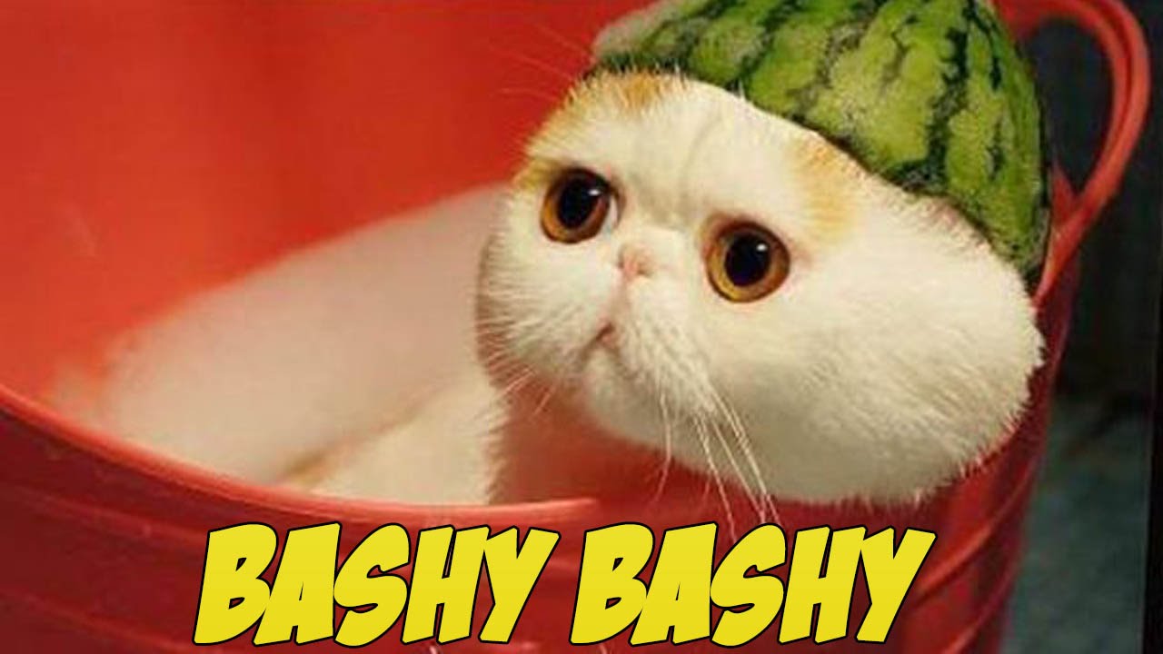 Minecraft BASHY BASHY - The New Series of Melons w/ Bodil40 - YouTube