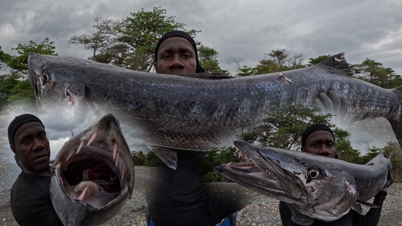 SOLO HUNTING IN STORMY LIKE WEATHER GIANT 46 POUNDER BARRACUDA KILLING ...