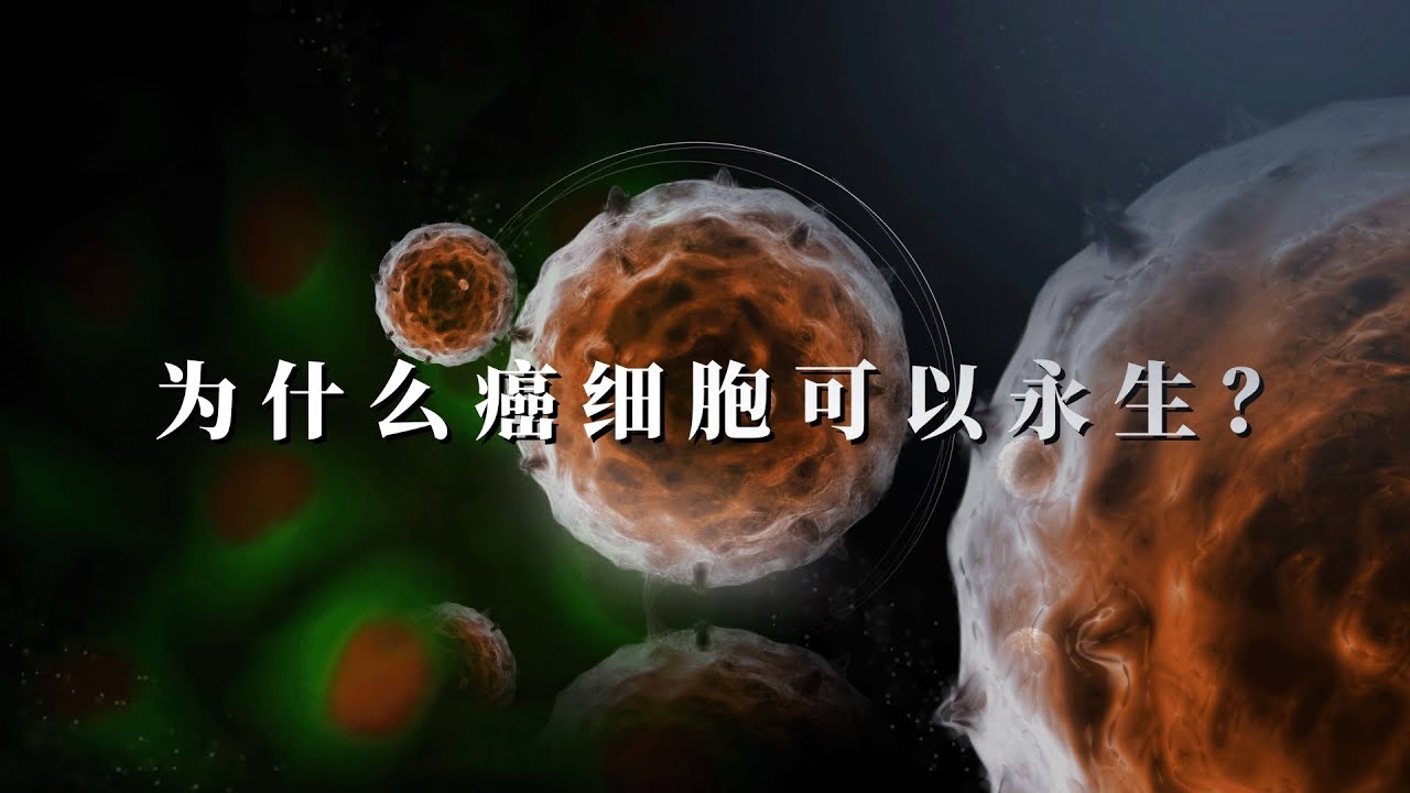 The Immortality Code of Cancer Cells - YouTube