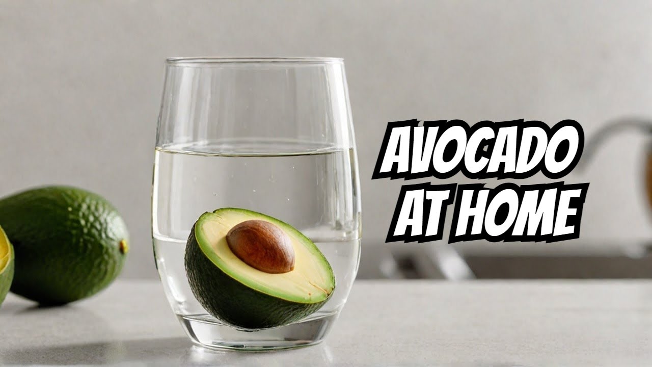 GROW Your Own AVOCADO At Home With Ease - YouTube