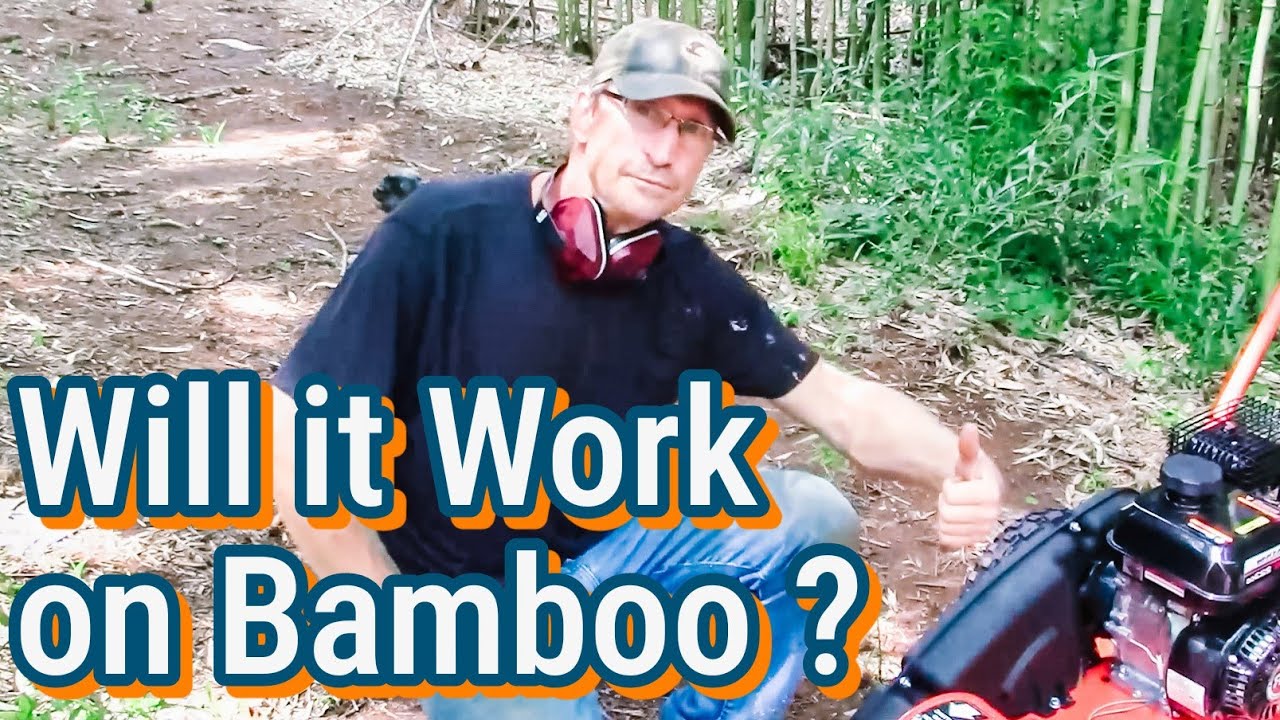 DR Stump Grinder First Start and Tryout - YouTube