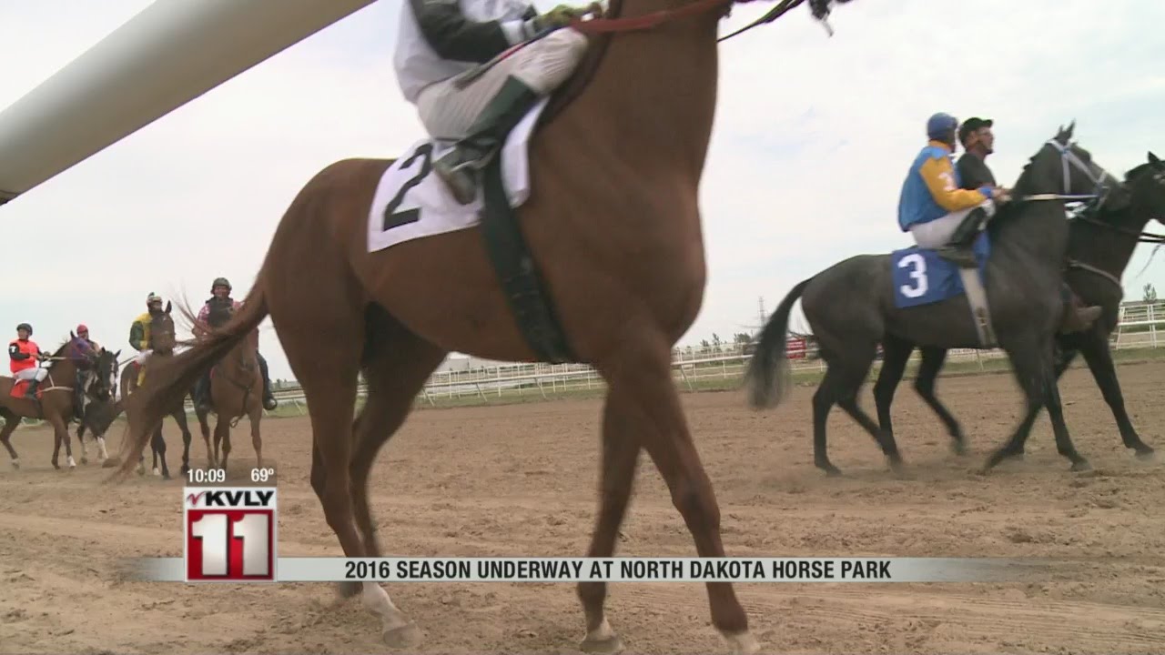 North Dakota Horse Park makes a comeback to the racing scene - YouTube