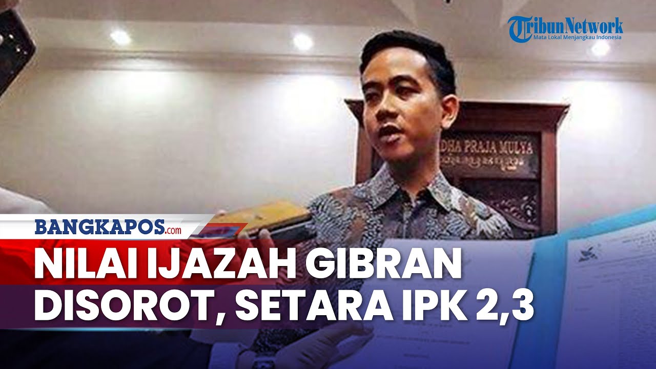 Nilai Ijazah Gibran di University of Bradford Disorot, Nilainya Diklaim ...