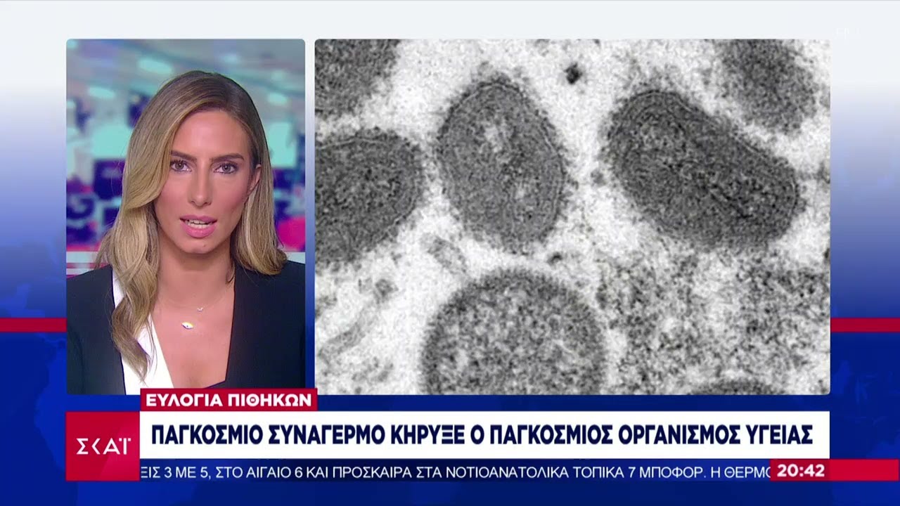 Ευλογιά των πιθήκων: Κατάσταση έκτακτης ανάγκης κήρυξε ο ΠΟΥ | Ειδήσεις ...