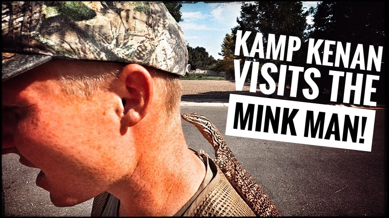 Training a Monitor Lizard with the Mink Man! - YouTube