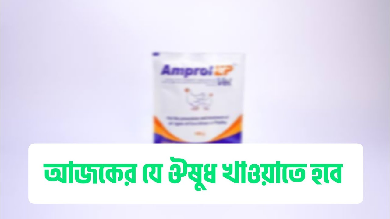 আলহামদুলিল্লাহ,, ব্রয়লার মুরগির বয়স ২৩ দিন | আজকে যে ঔষুধ খাওয়াতে হবে | এমপ্রোল ইপি ||Amprol ...