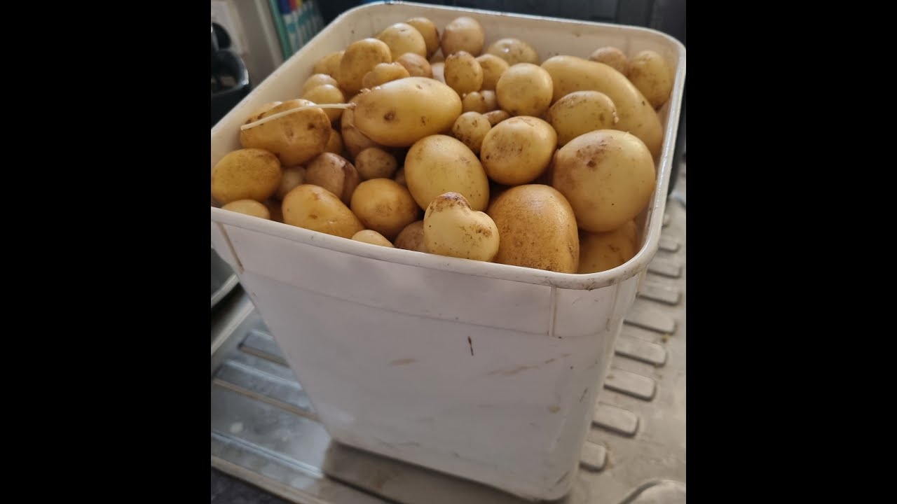 EP22 - Spud Harvest - YouTube