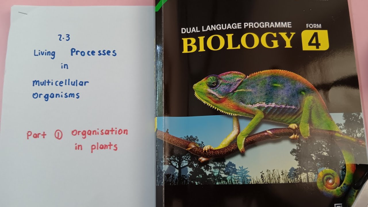 biology form 4 chapter 2 2.3 plant organisations | plant cells | plant ...