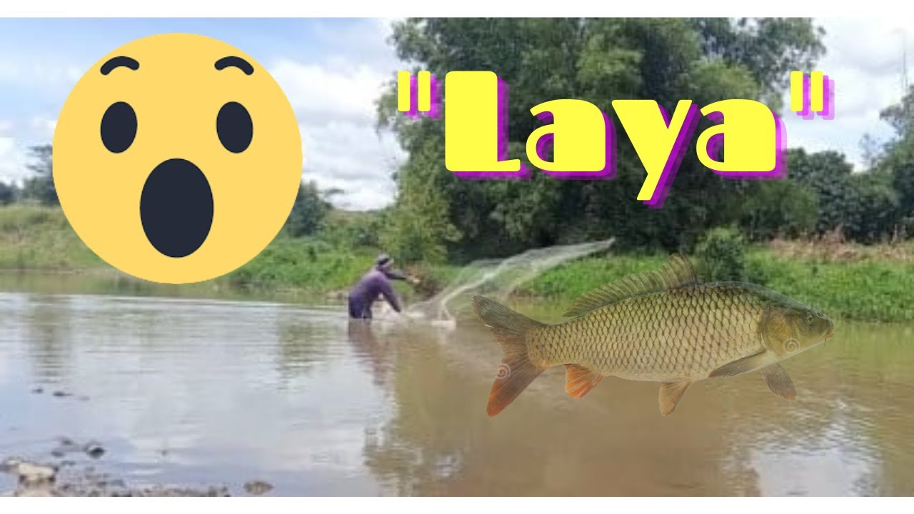 v11 Traditional Fishing (using "Laya")...Karpa lng Malakas... - YouTube