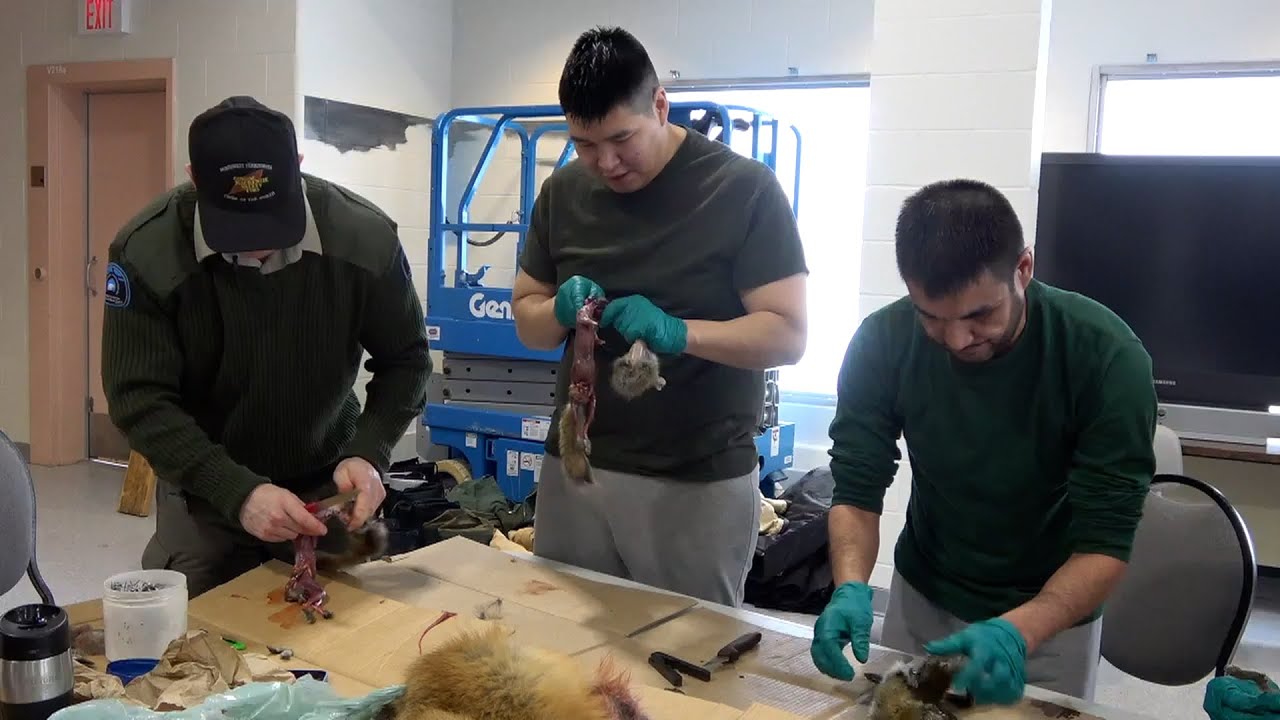 Inmates in Yellowknife are learning trapping and outdoor survival ...