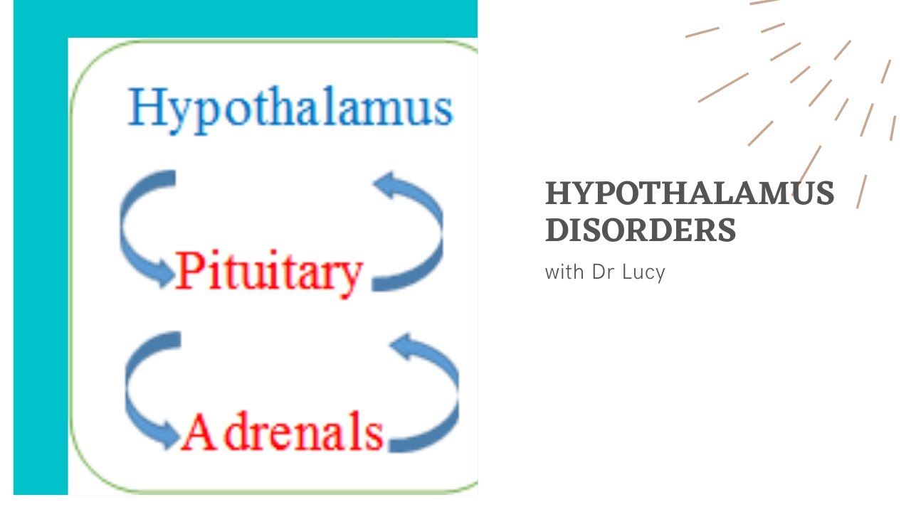 Disorders of the Hypothalamus - YouTube