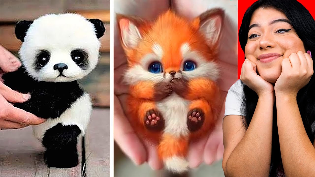 Los Animales Más Tiernos Del Mundo #5 😍 - YouTube