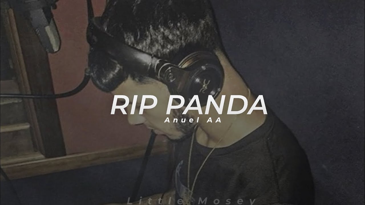 Rip Panda - Anuel AA | LETRA - YouTube