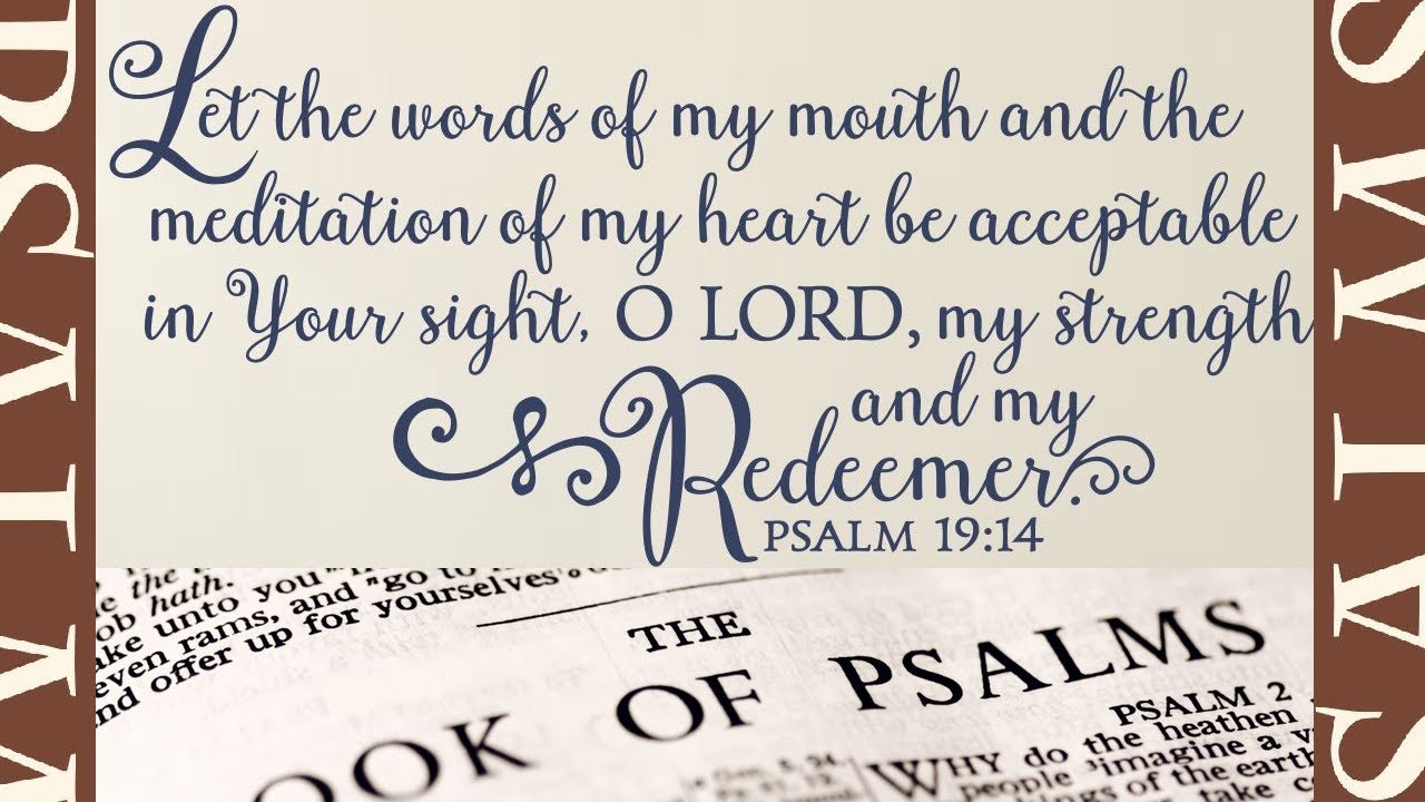 시편 19편 [새번역] Psalm chapter 19 [May the words of my mouth and the ...