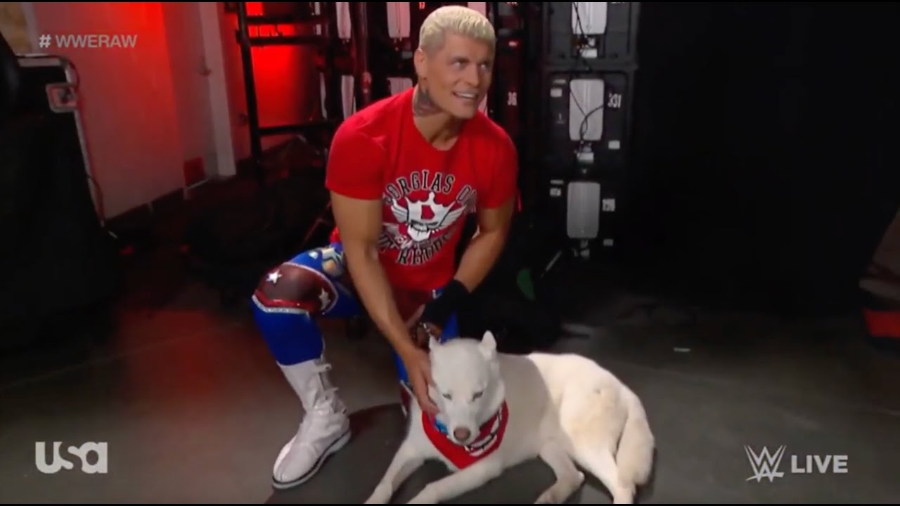 Cody Rhodes' DOG makes his WWE Debut: WWE Raw, June 26, 2023 - YouTube