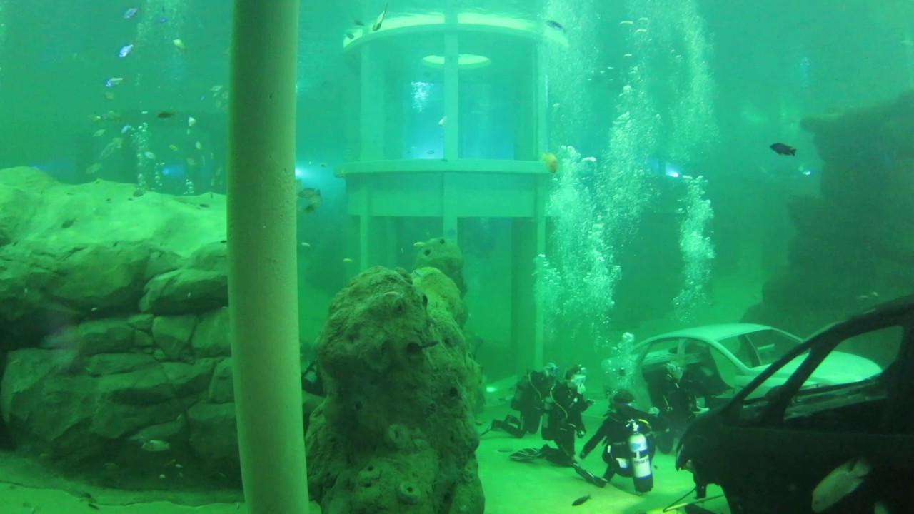 Duiken bij Todi. - YouTube