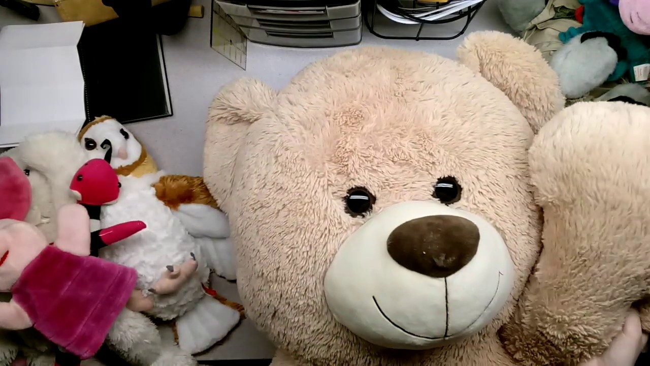 Making art inspired by a Teddy Bear - Object Ecology - YouTube
