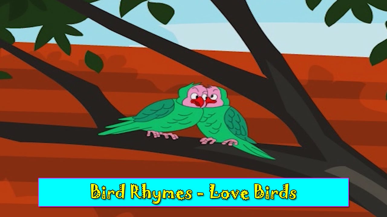 Love Birds Rhyme | Bird Rhymes for Children | Nursery Rhymes for Kids ...