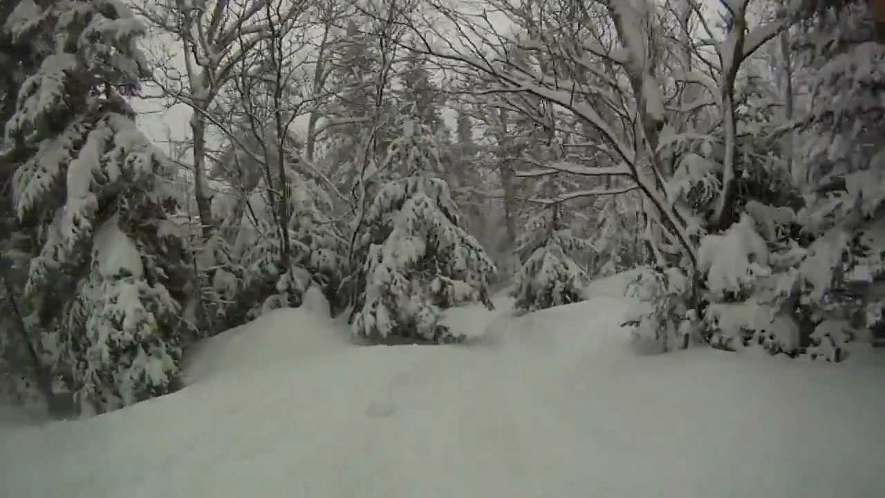 Skiing Goat and the Woods at Stowe Mountain Resort on a Powder Day ...