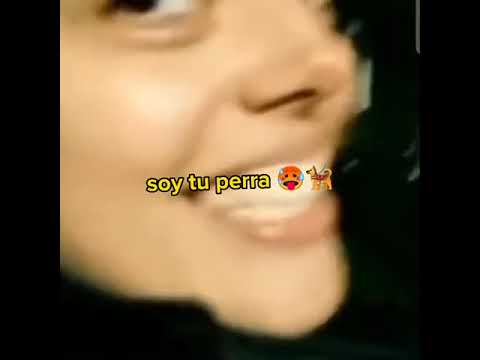 Te voy a cagar la cama porque soy tu perra - YouTube