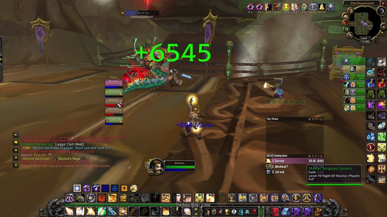 World of Warcraft TBC Classic Heroic Steamvaults Holy - YouTube