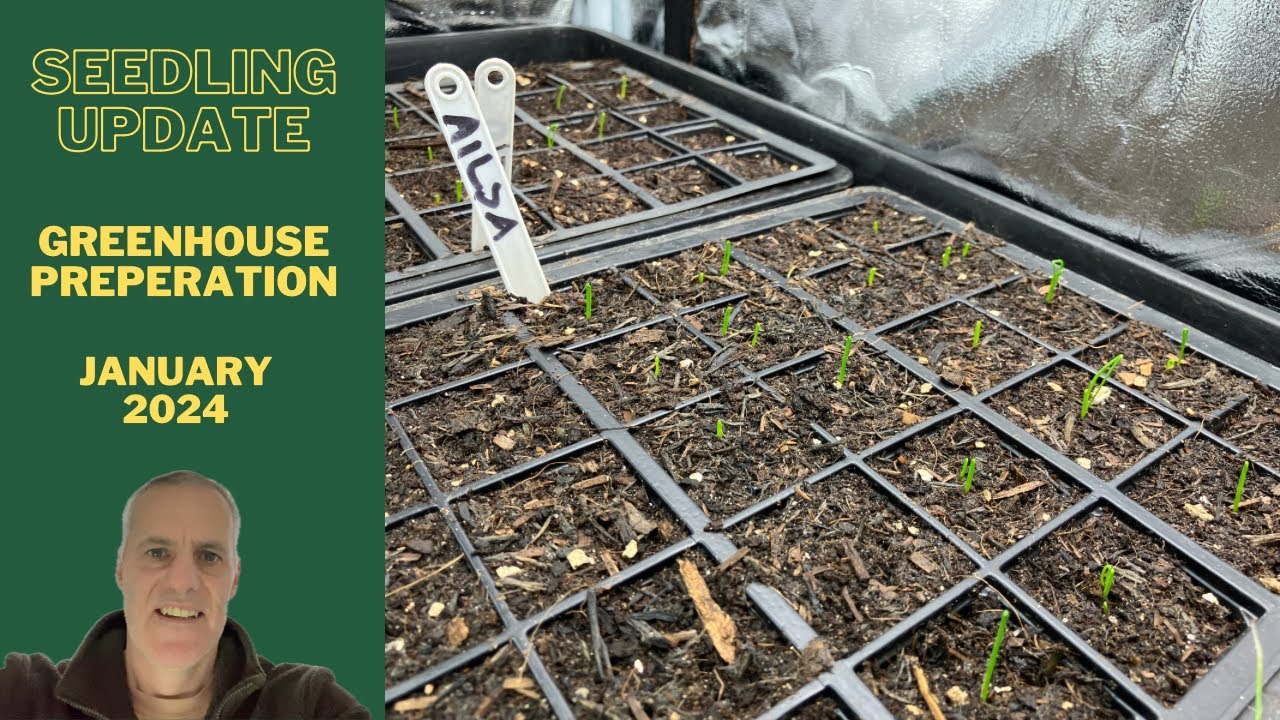 Seedling progress check and greenhouse preparation - YouTube