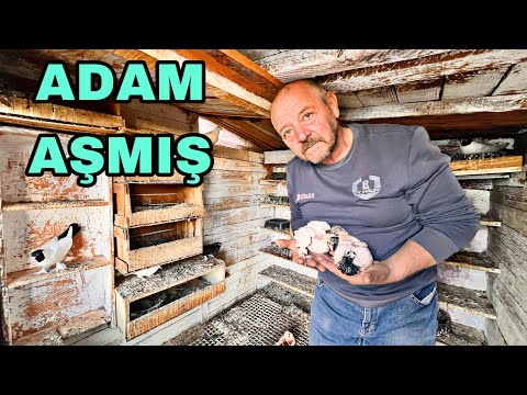 ONLAR NASIL SURAT ÖYLE 😱 EFSANE KÜMES ZİYARETİ . KARABAŞÇI HASAN DAYI YİNE DÖKTÜRDÜ.