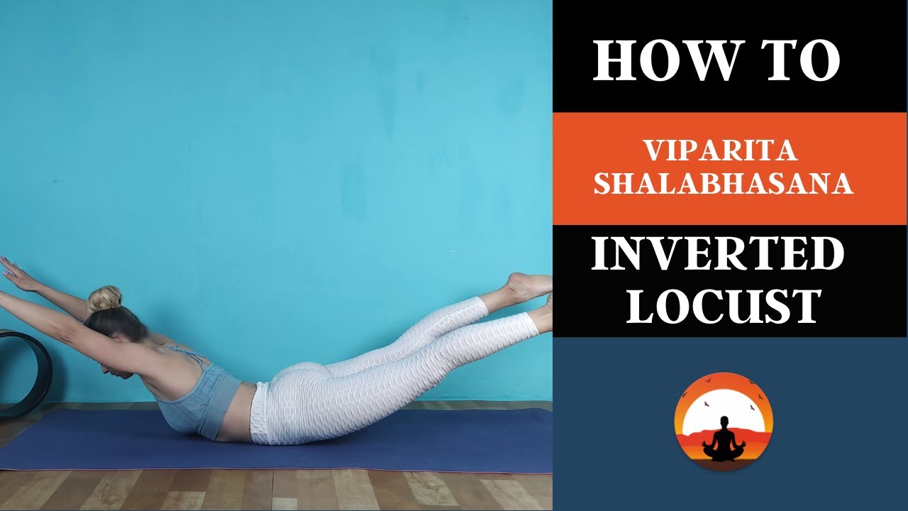 Yoga Viparita Shalabhasana Pose | How to do The Inverted Locust Pose ...