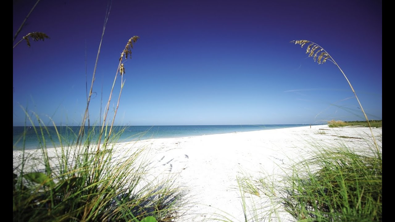 Sanibel Sunday - Island Cow Restaurant - YouTube