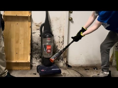 Smash Bissell PowerForce Helix Vacuum - YouTube