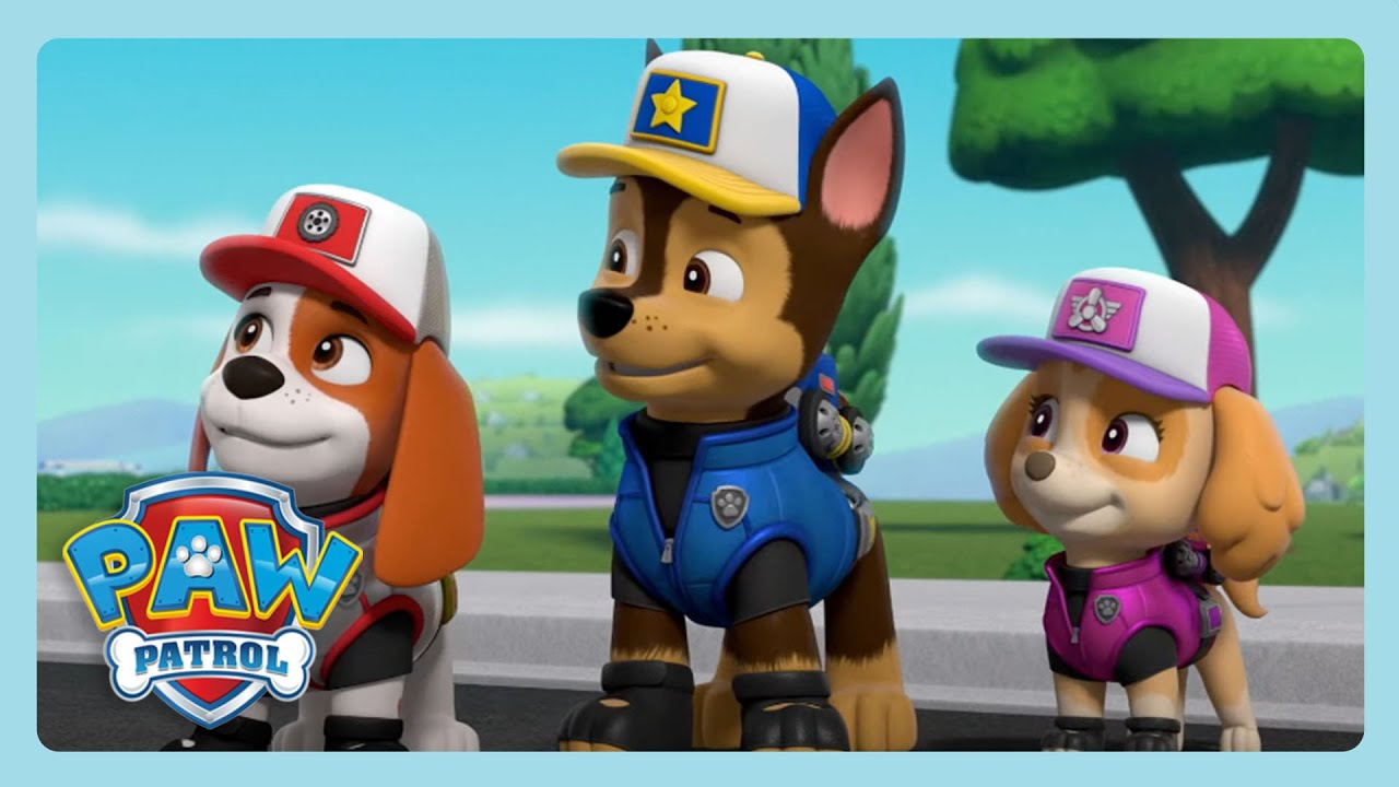 Best Of Paw Patrol | Paw Patrol | Wildbrain Little Jobs - YouTube