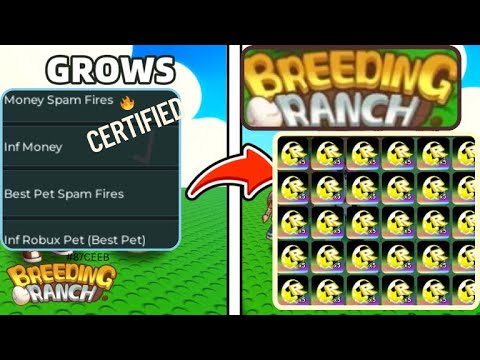 [OP] Breeding ranch Script - Ininite Money, Get robux Best Eggs - YouTube