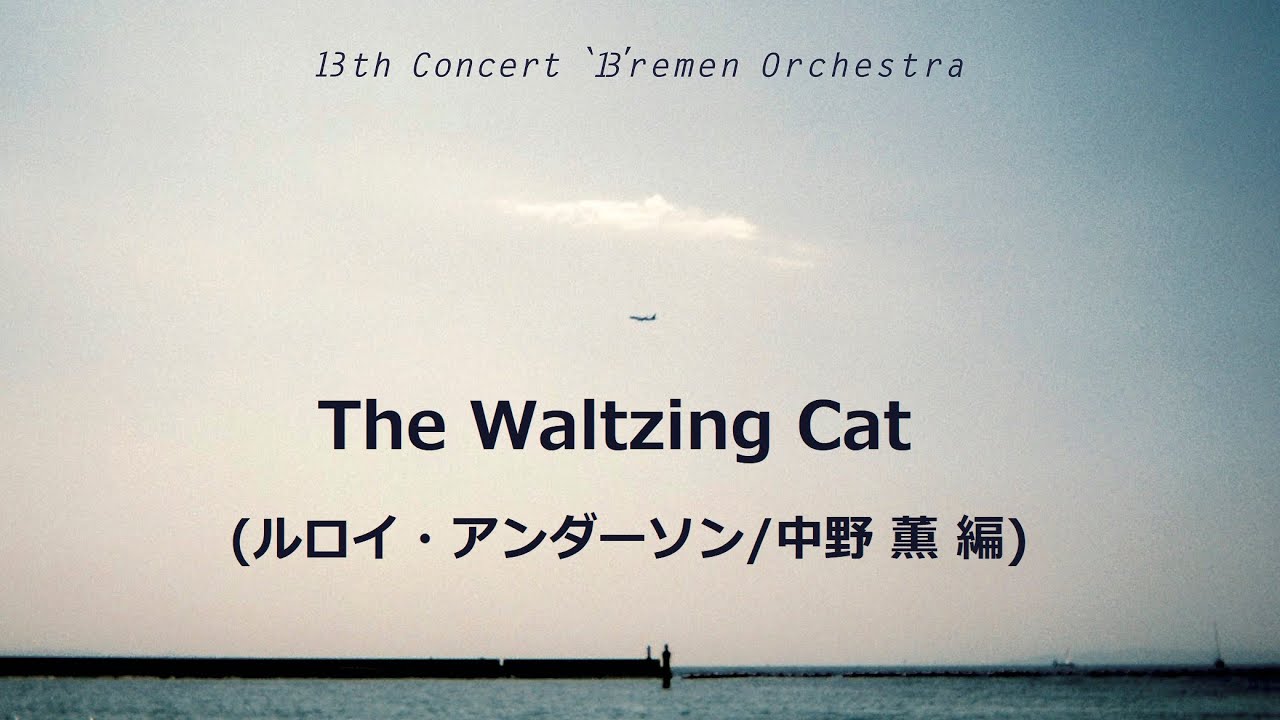 The Waltzing Cat(踊る子猫) - YouTube
