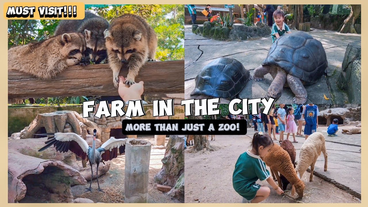 Farm In The City🐢 One of the BEST ZOO in 🇲🇾You can TOUCH & FEED almost ...