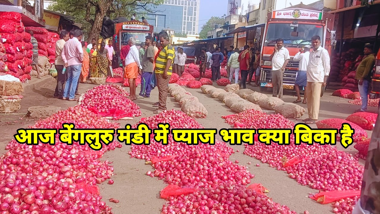 22/05/2025 आज आमदनी कम आया है कितना भाव में बिका है प्याज? #onion # ...