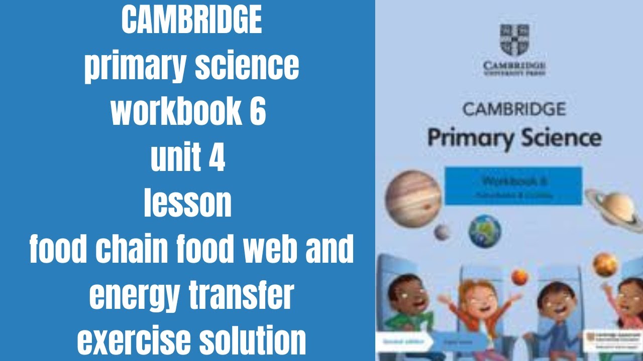 CAMBRIDGE primary science workbook 6 unit 4 lesson food chain food web ...