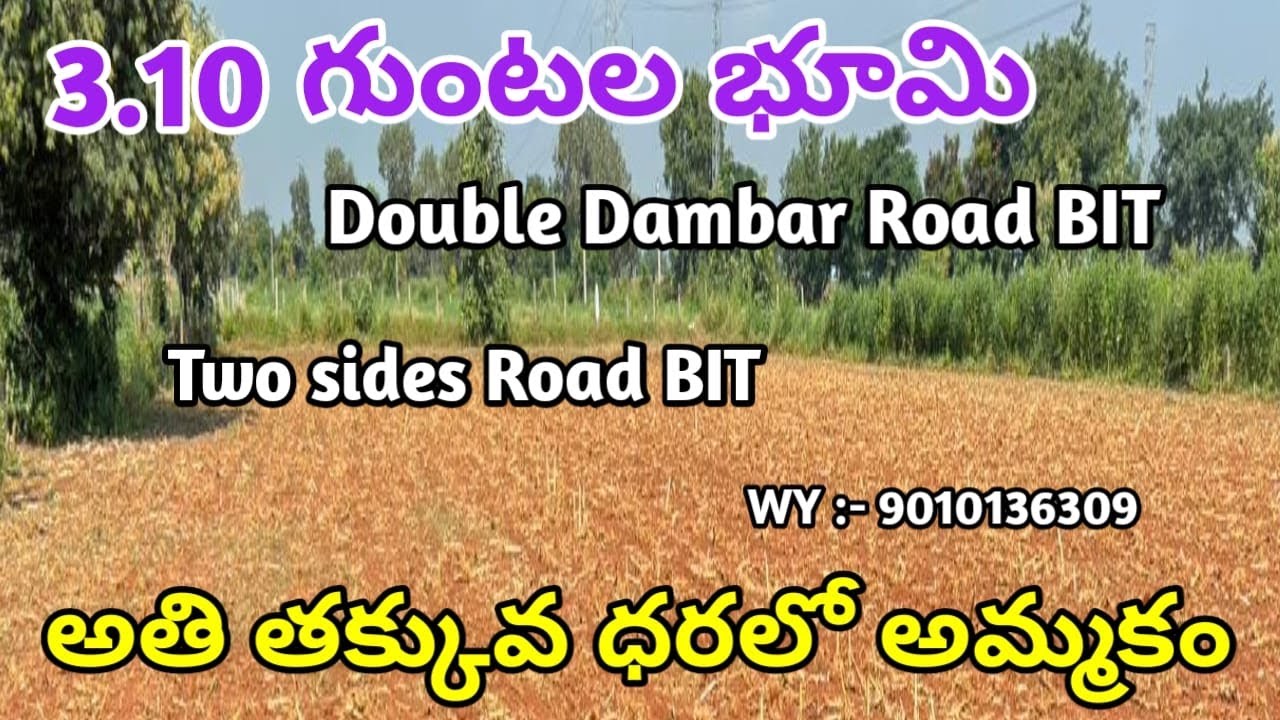 Agriculture Land For Sale | Double Dambar Road BIT |#agriculturelands # ...