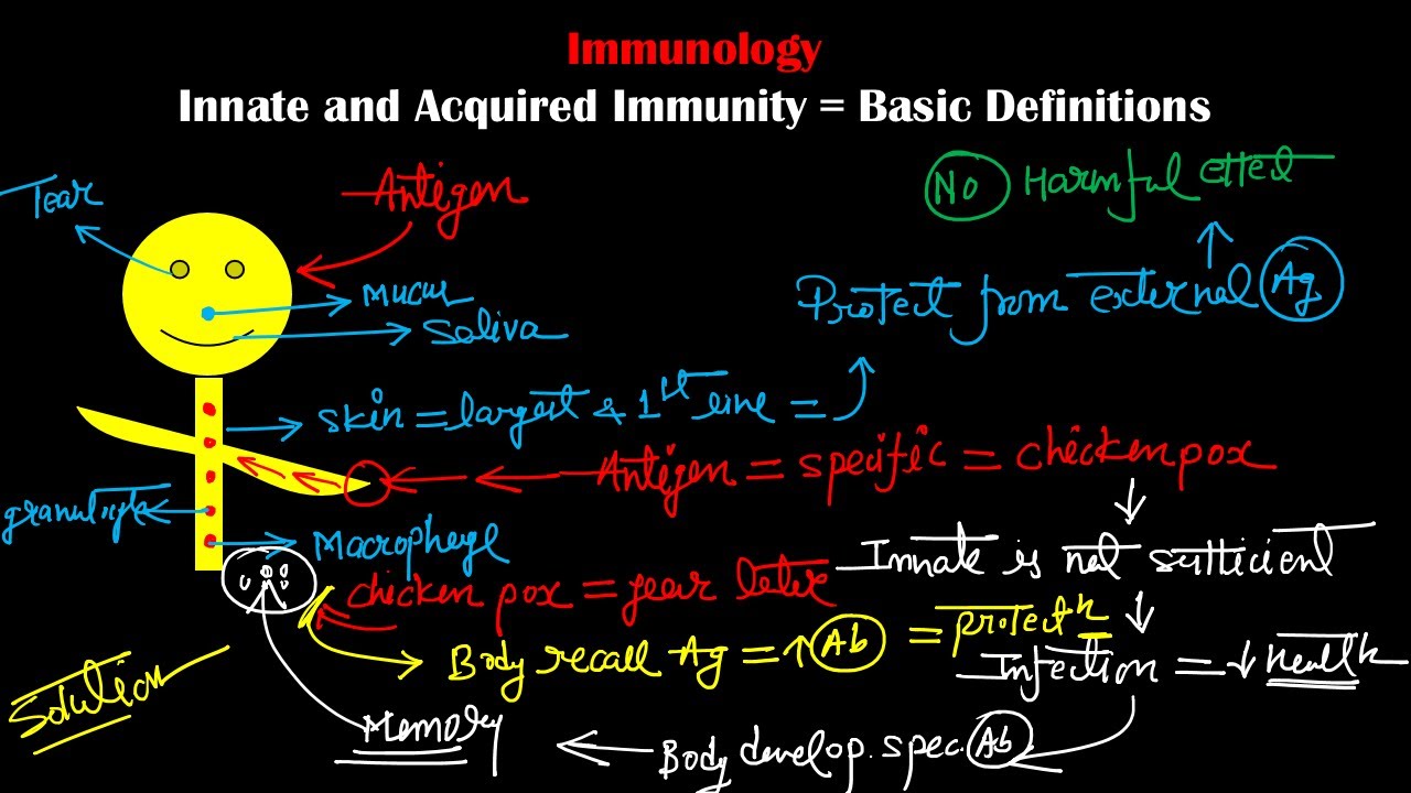 Innate and Acquired Immunity | Difference Between Innate & Acquired ...