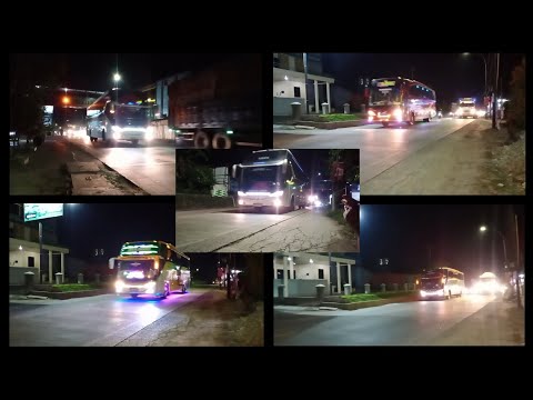 Liga Malam Bus Sinar Jaya Jalur Selatan | Bus Malam