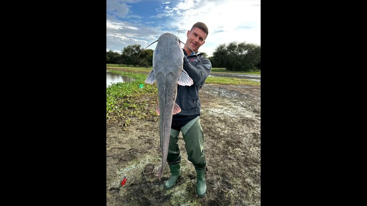 Catfish / Barbel calling (Baber Roep en Prop ) Bloemhof DAM - YouTube