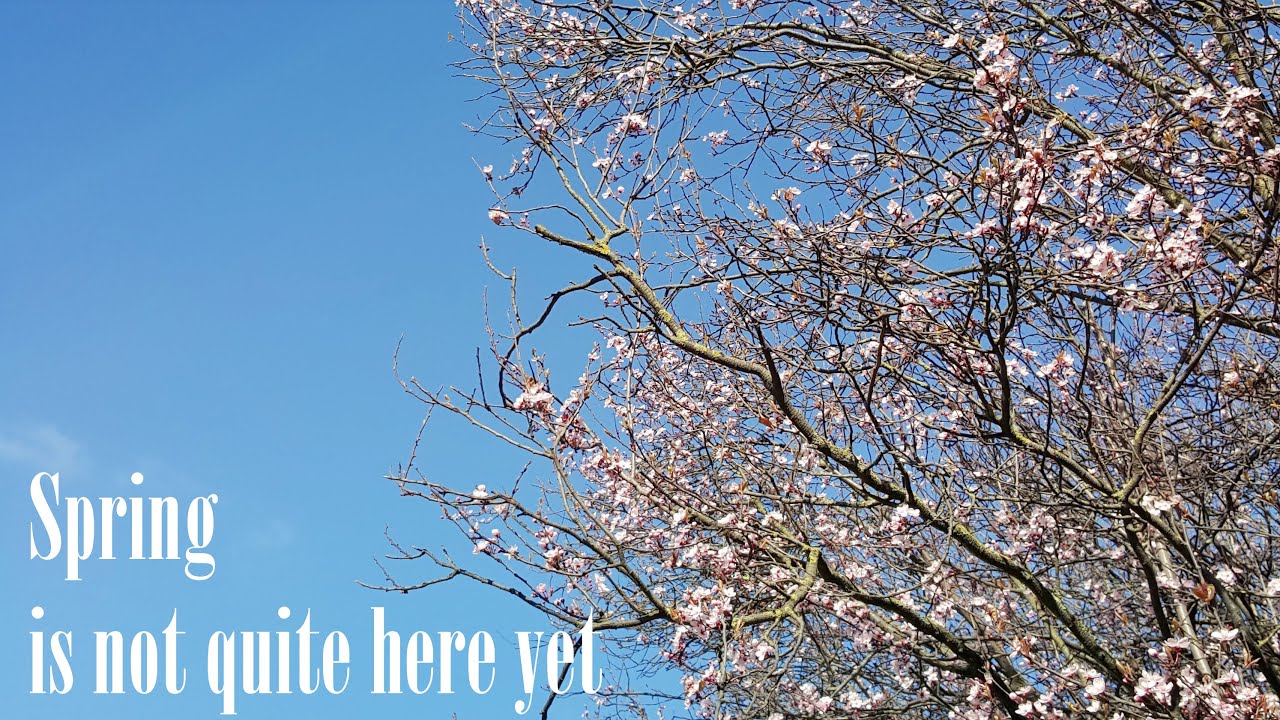 Spring, not quite here yet - YouTube