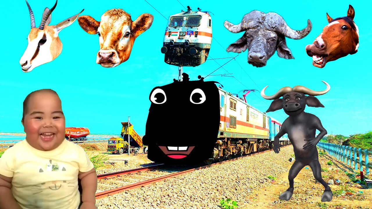 funny face buffalo cow horse sabar train video || funny animal video ...