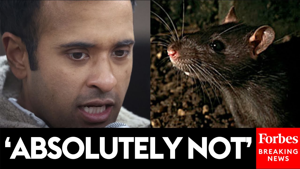 Vivek Ramaswamy Asked Point Blank About Cabinet: 'Will You Commit To ...