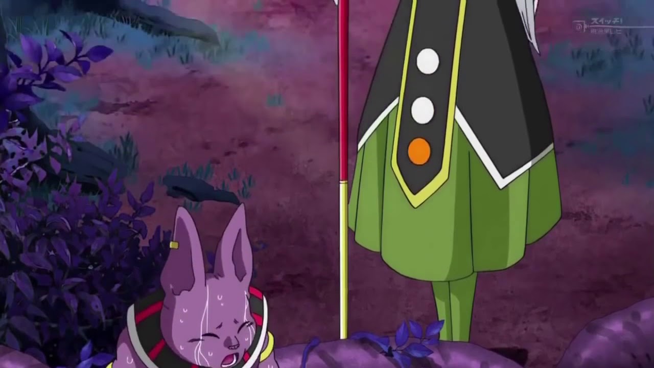 Champa is tired walking and vados called Champa is fat - YouTube