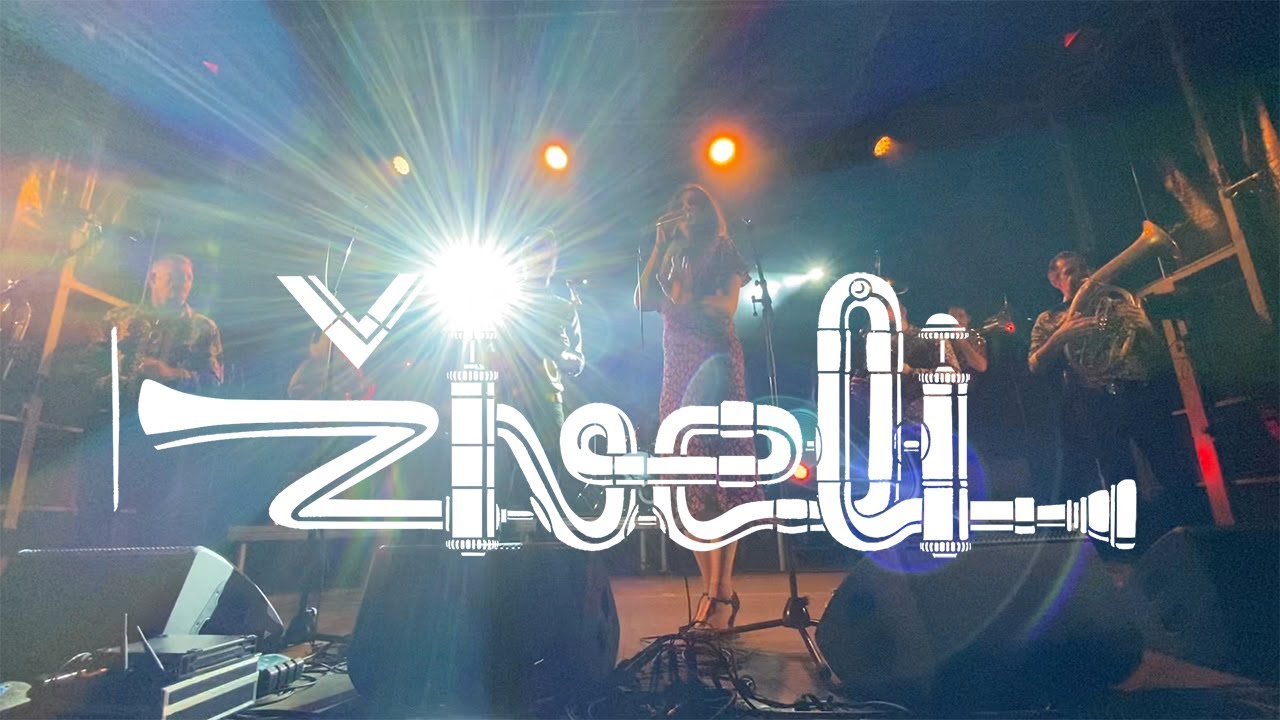 Ziveli Orkestar // Mile Pije Rakije - Live au Son de l'Yon 2022 - YouTube