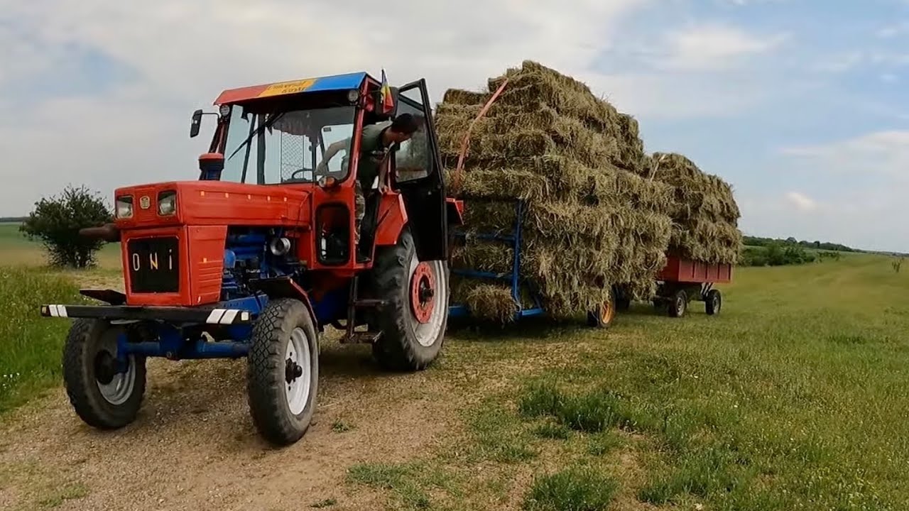 RECORD DE BALOȚI! + Activitate intensă la fermă PARTEA A-II-A - YouTube