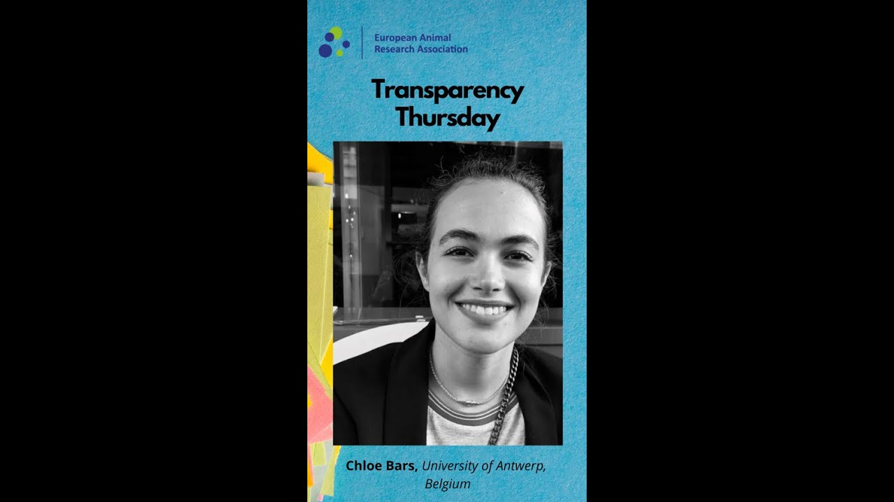Transparency Thursday - Chloé Bars - YouTube