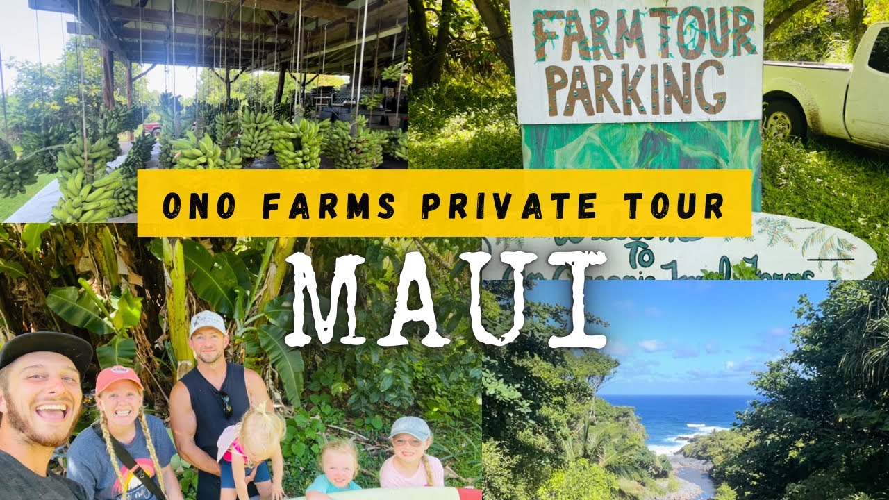 Ono Farms Private Tour - TravelVlog - Maui - Organic Fruit Farm - Road ...